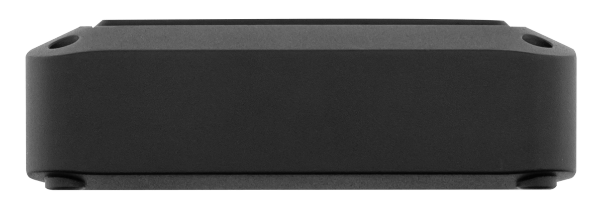 GX 1200W 1-Channel Monoblock Class D Amplifier - Phoenix Gold
